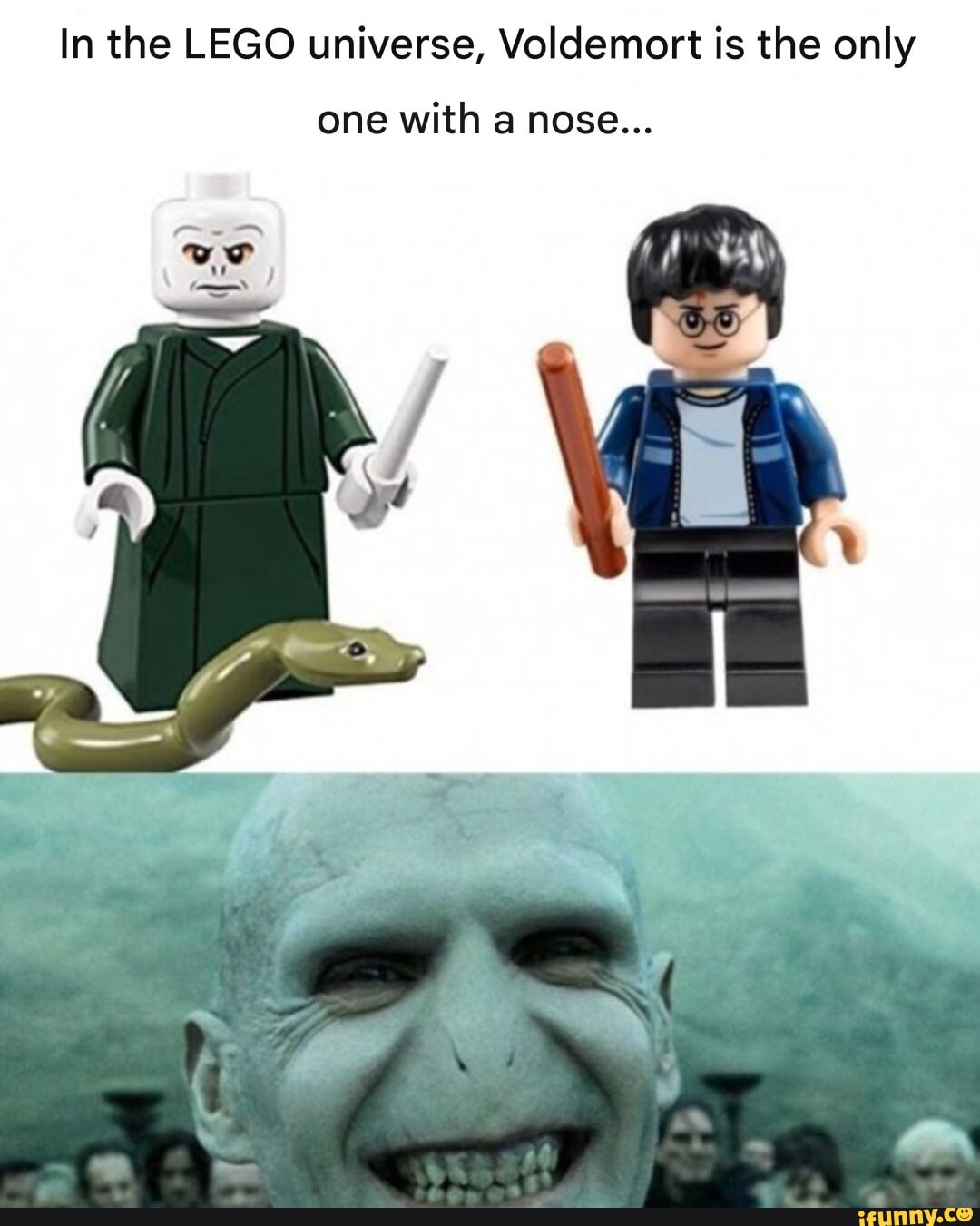 In the LEGO universe, Voldemort is the only one with a nose... - iFunny