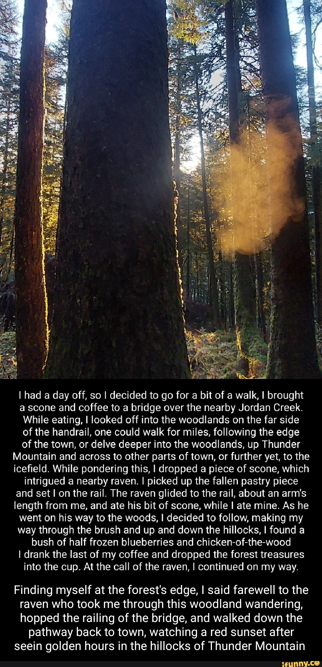 Scone memes. Best Collection of funny Scone pictures on iFunny