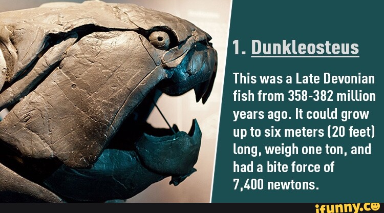 Dunkleosteus memes. Best Collection of funny Dunkleosteus pictures on ...