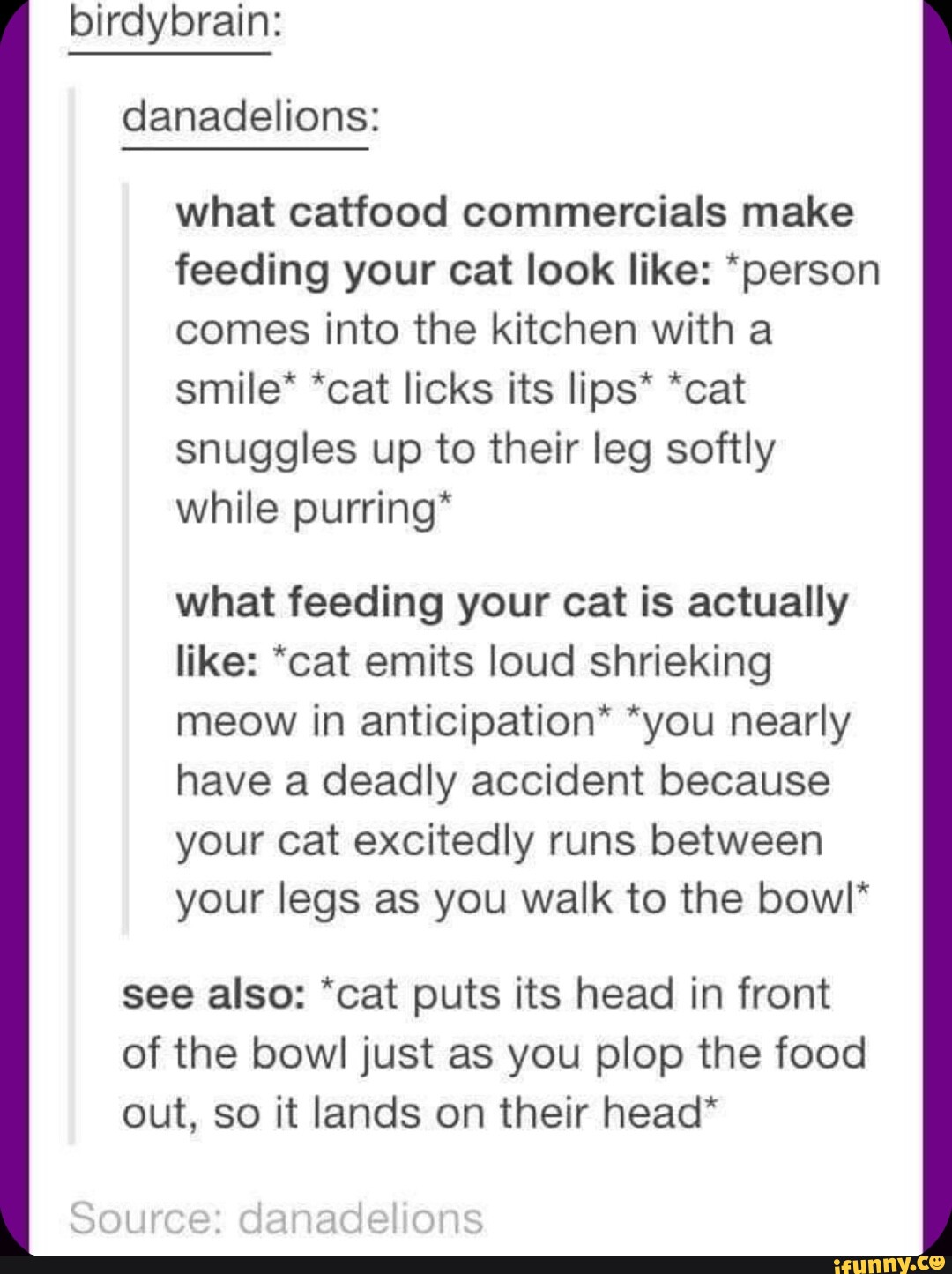 Catfood memes. Best Collection of funny Catfood pictures on iFunny