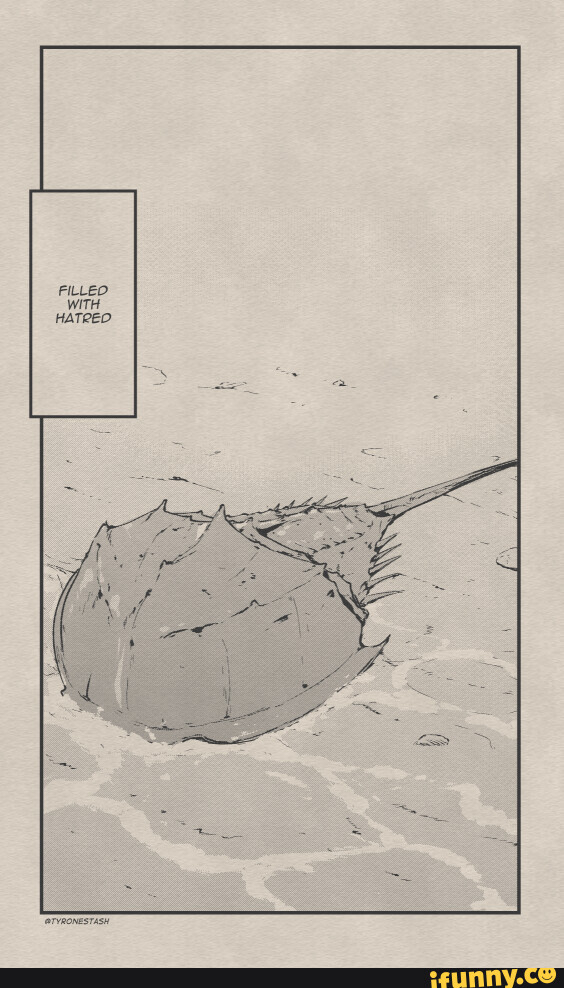 Tyronestash memes. Best Collection of funny Tyronestash pictures on iFunny