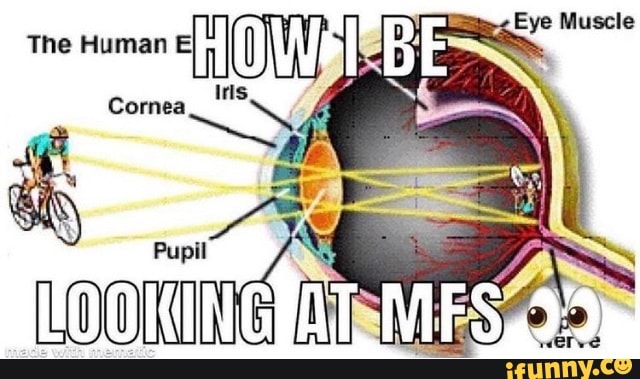 Cornea memes. Best Collection of funny Cornea pictures on iFunny