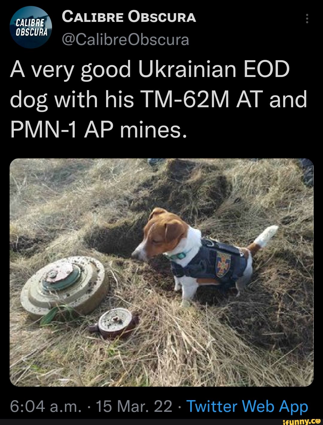 CALIBRE OBSCURA CALIBRE @CalibreObscura A very good Ukrainian EOD dog ...