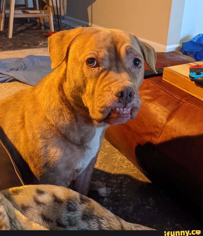 Stephen With A Ph Phteven