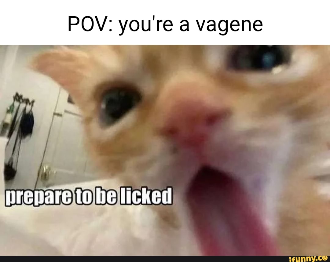 Vagene memes. Best Collection of funny Vagene pictures on iFunny