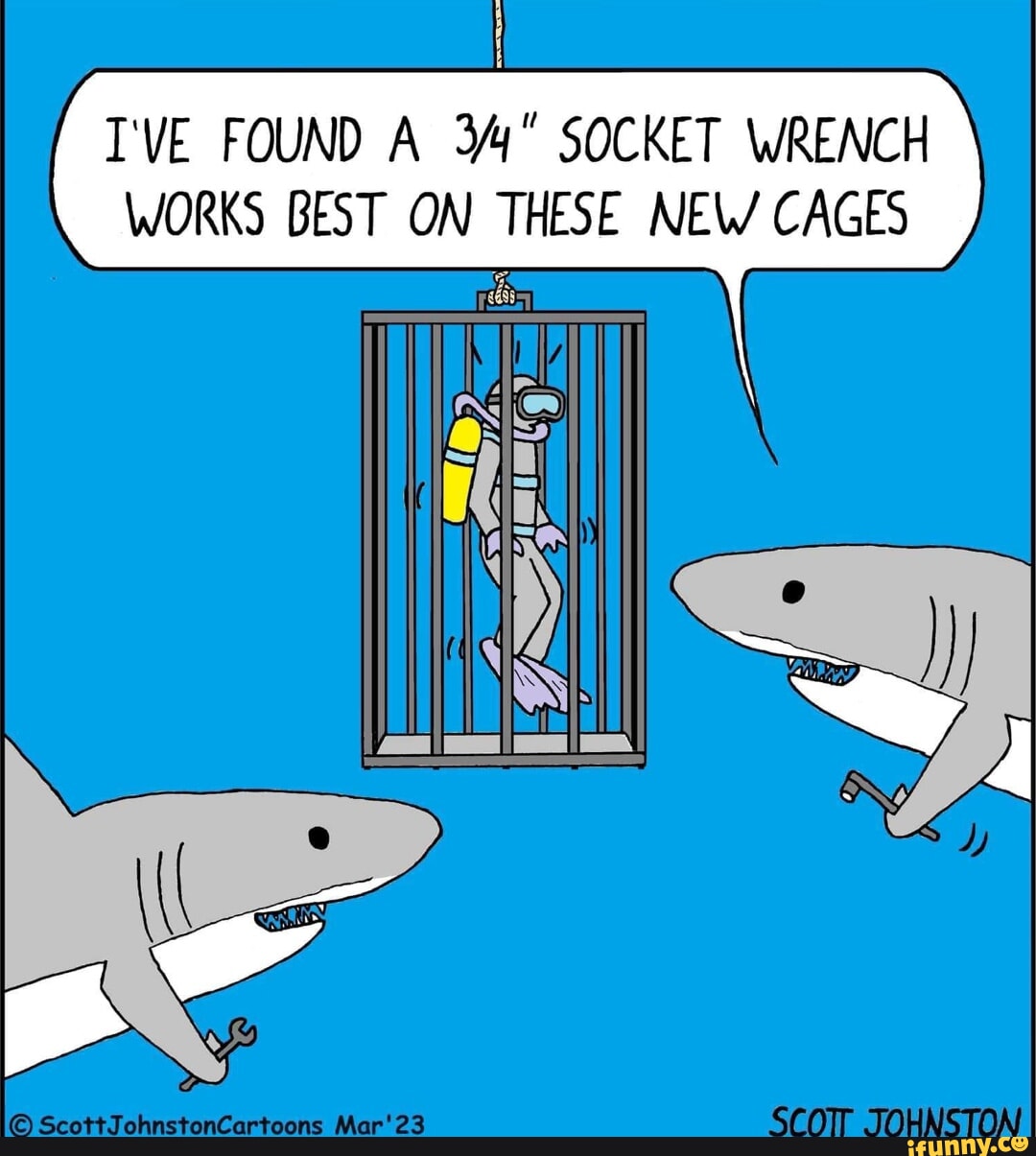 Socket memes. Best Collection of funny Socket pictures on iFunny