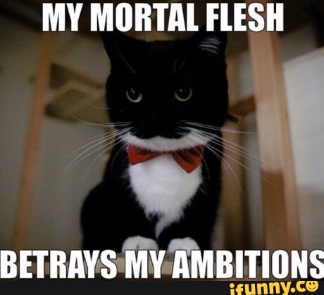 Ambitions memes. Best Collection of funny Ambitions pictures on iFunny