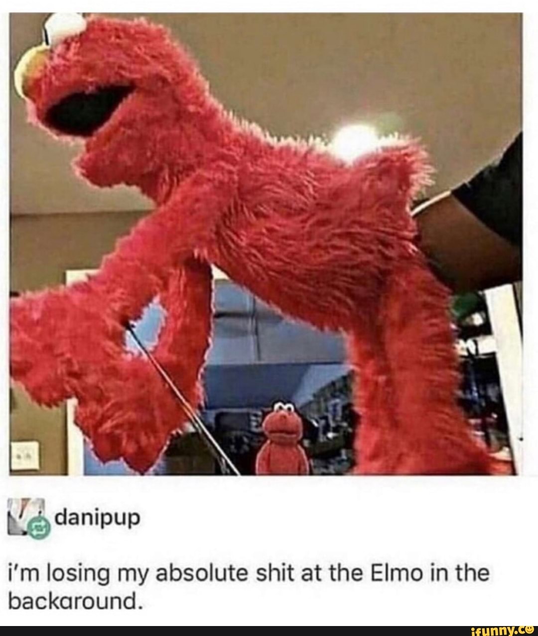 Elmo Poop Memes