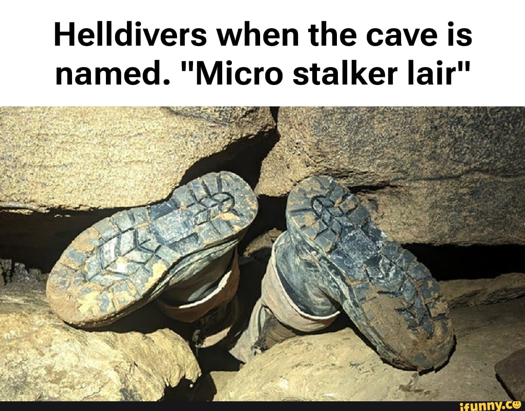Helldivers when the cave is named. "Micro stalker lair" - iFunny