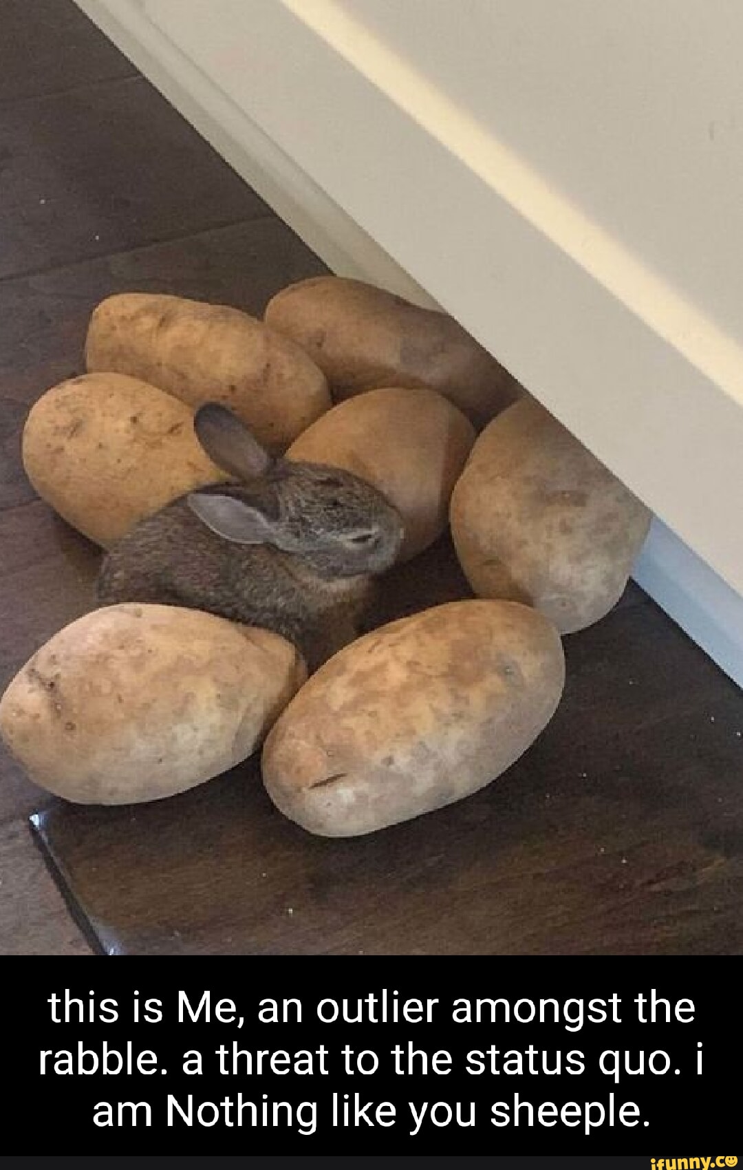 Sheeple memes. Best Collection of funny Sheeple pictures on iFunny