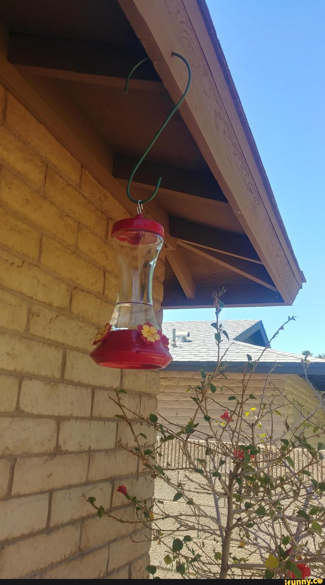 Angry_hummingbird memes. Best Collection of funny Angry_hummingbird ...