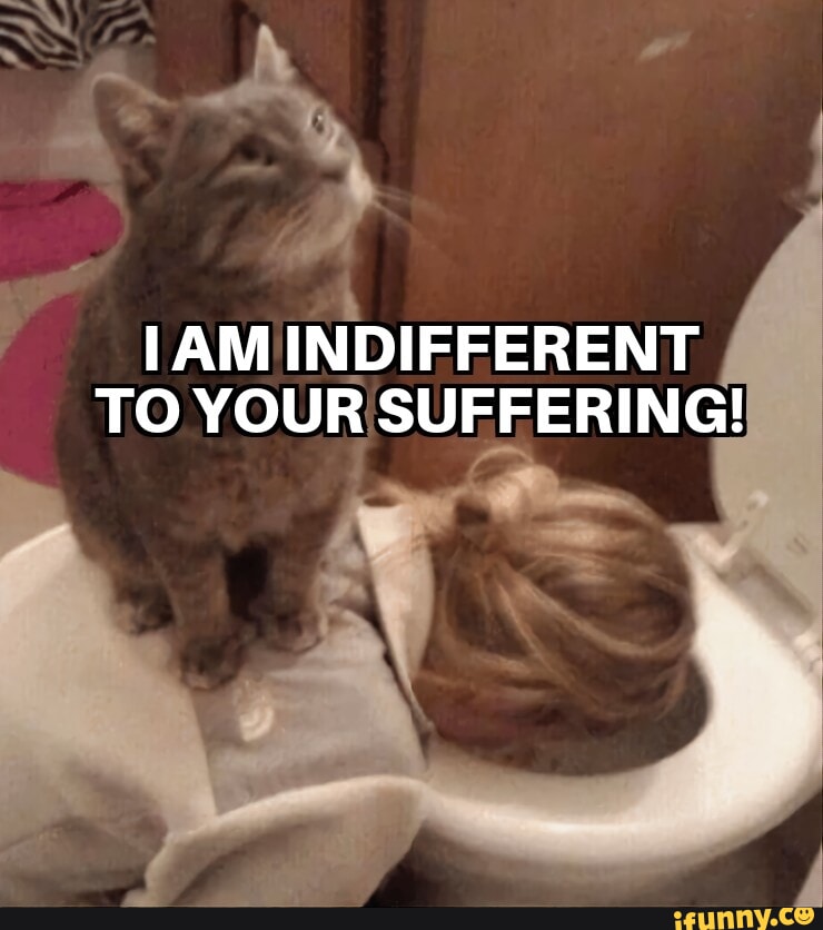 INDIFFERENT TO YOUR SUFFERING! - iFunny