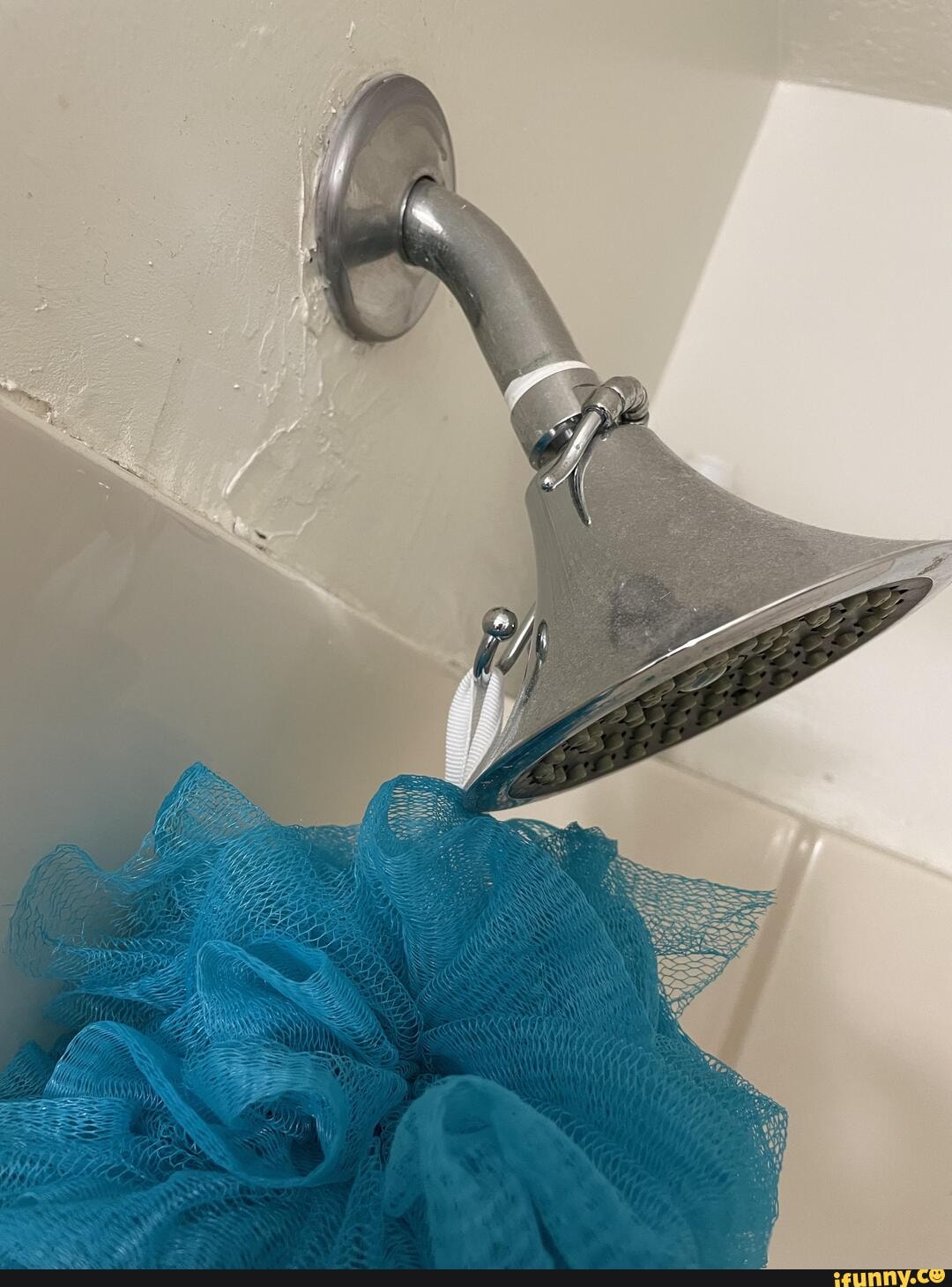 Loofah memes. Best Collection of funny Loofah pictures on iFunny