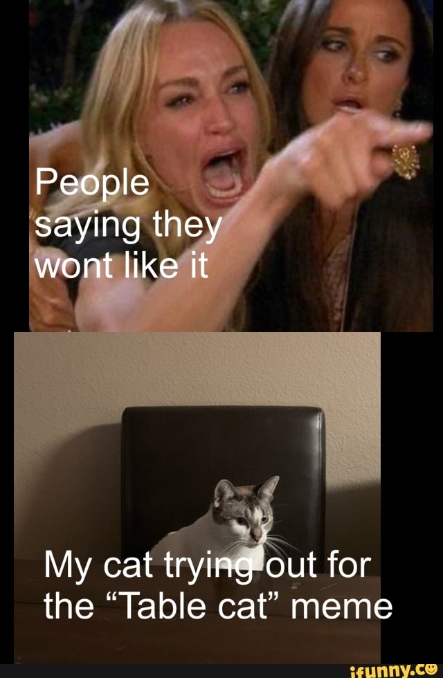 The Table Cat” Meme Ifunny