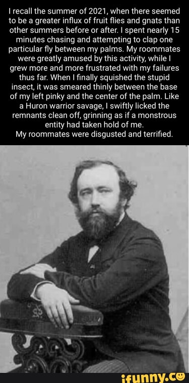 Gnats memes. Best Collection of funny Gnats pictures on iFunny