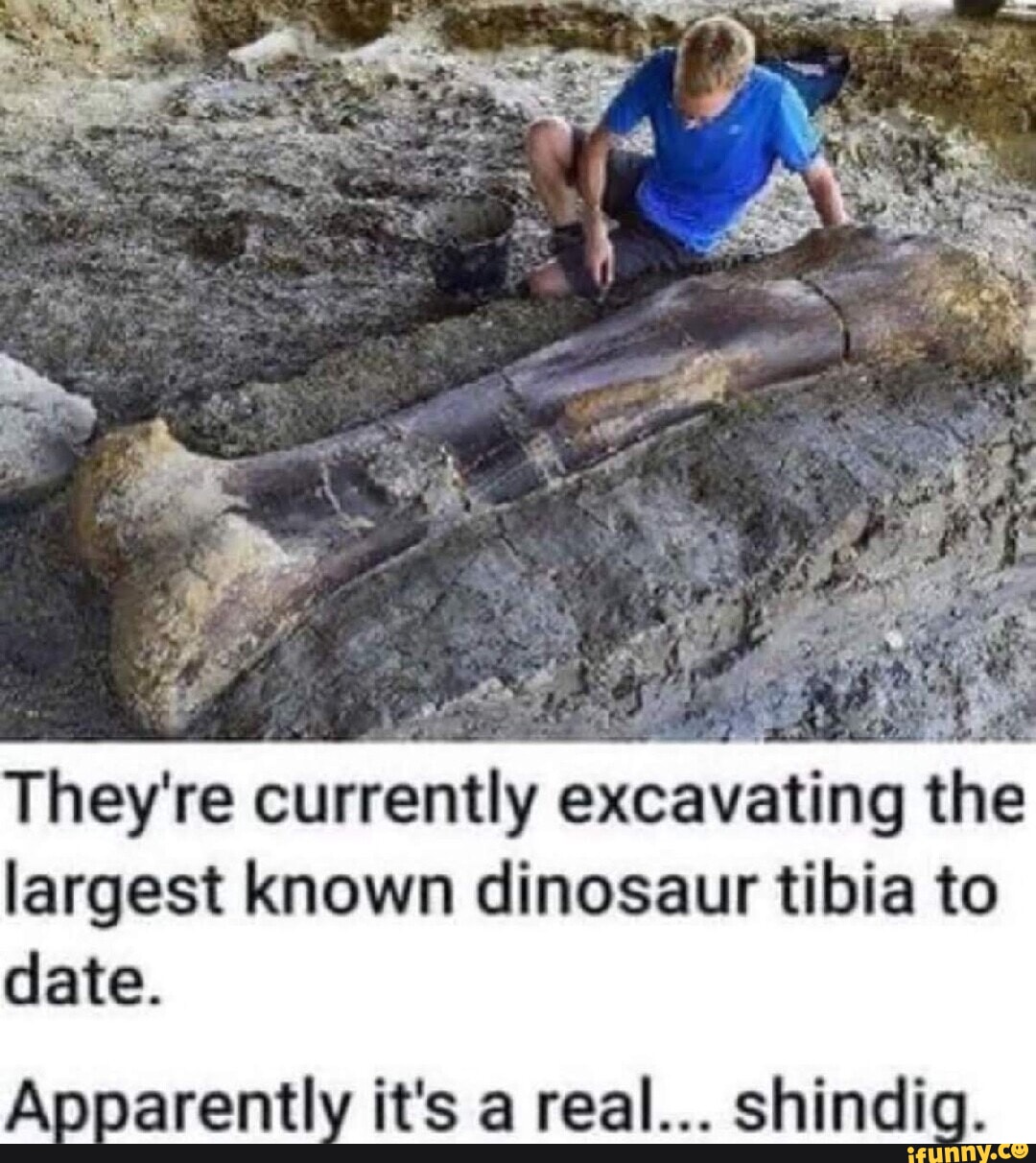 Tibia memes. Best Collection of funny Tibia pictures on iFunny