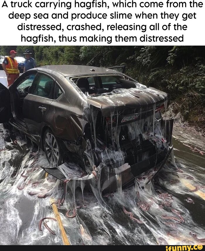 A truck carrying hagfish, which come from the deep sea and produce ...
