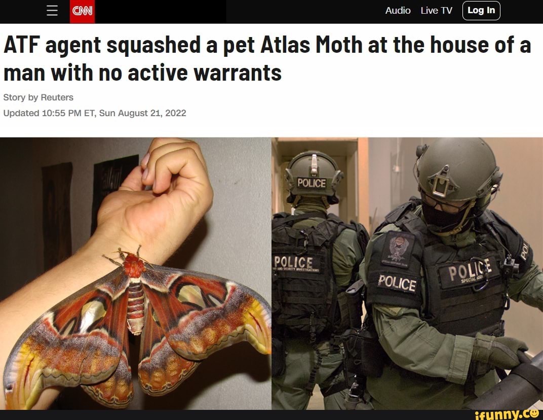 Audio Live TV I Log In I ATF agent squashed a pet Atlas Moth at the ...