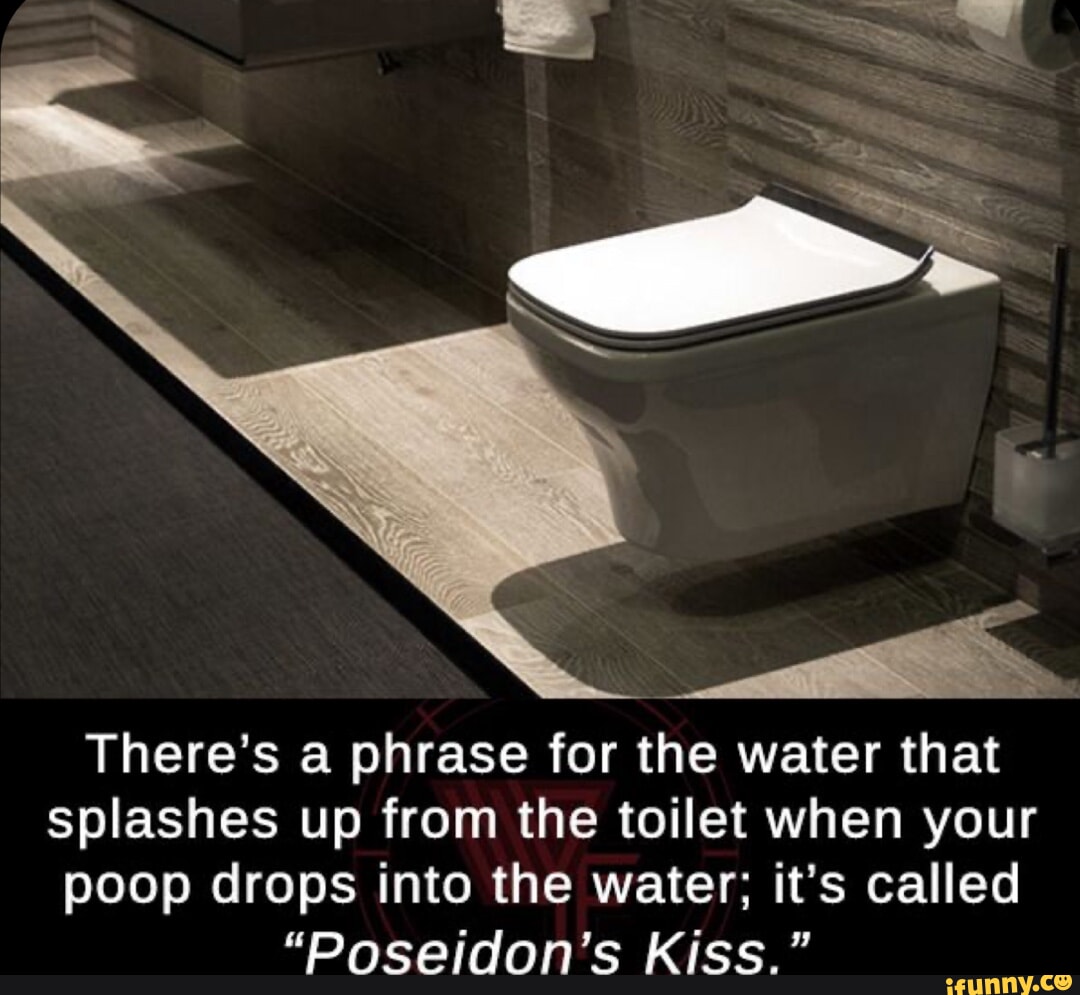 Poseidons memes. Best Collection of funny Poseidons pictures on iFunny