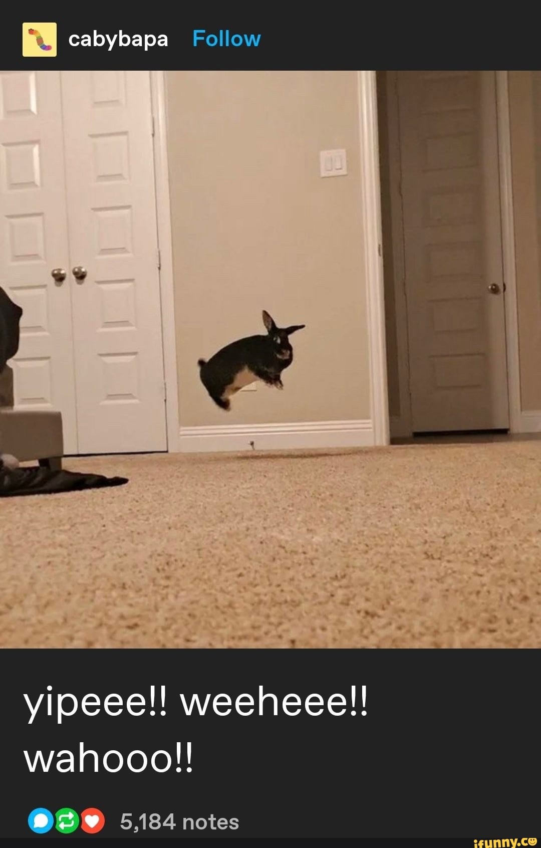 Yipeee memes. Best Collection of funny Yipeee pictures on iFunny