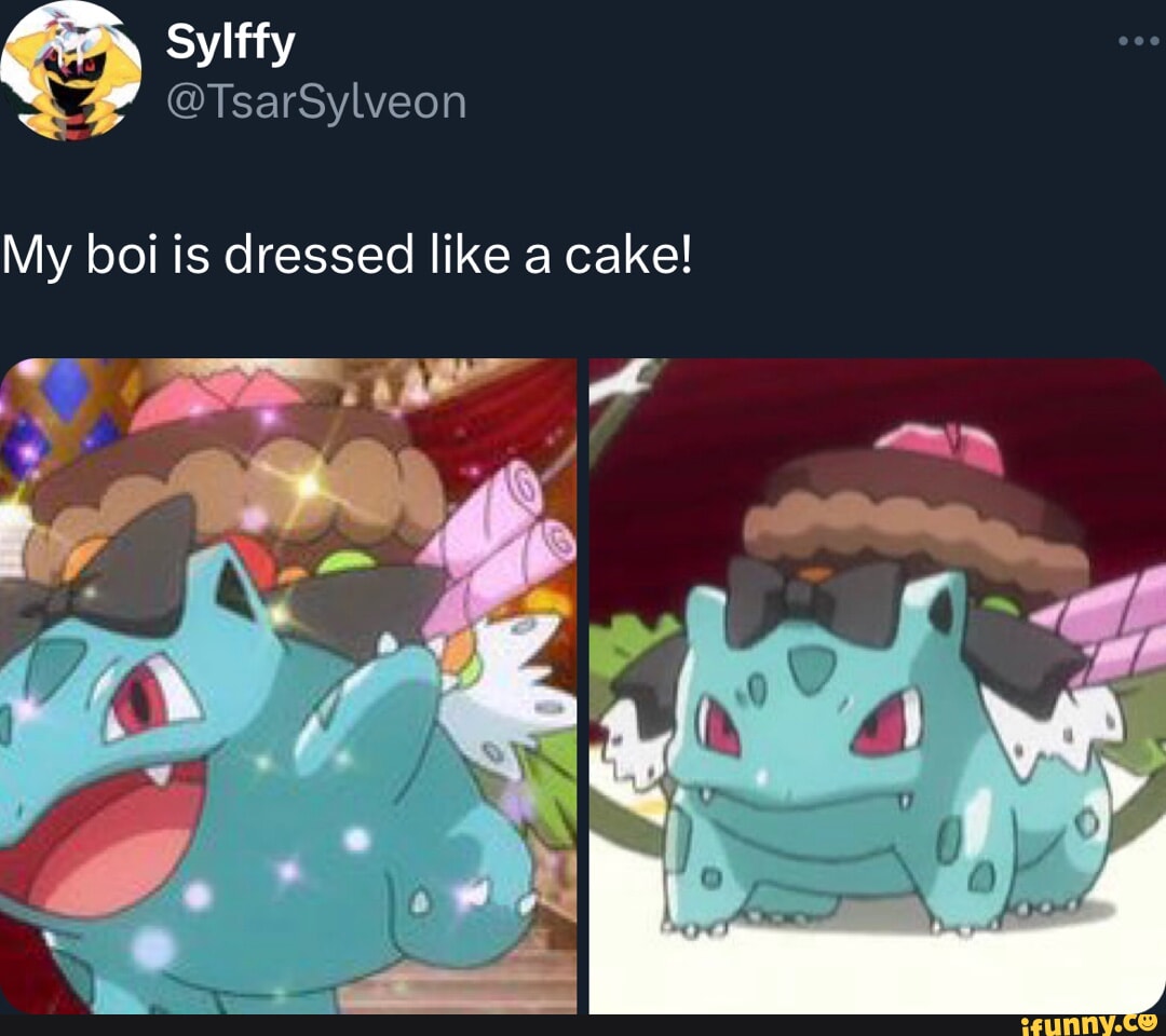 CA @TsarSylveon My boi is dressed like a cake! I - iFunny