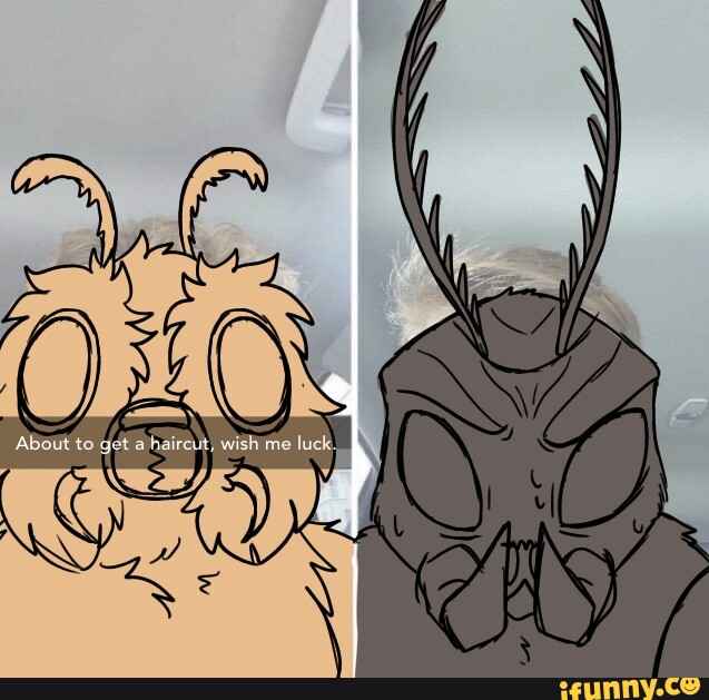 Mothra memes. Best Collection of funny Mothra pictures on iFunny