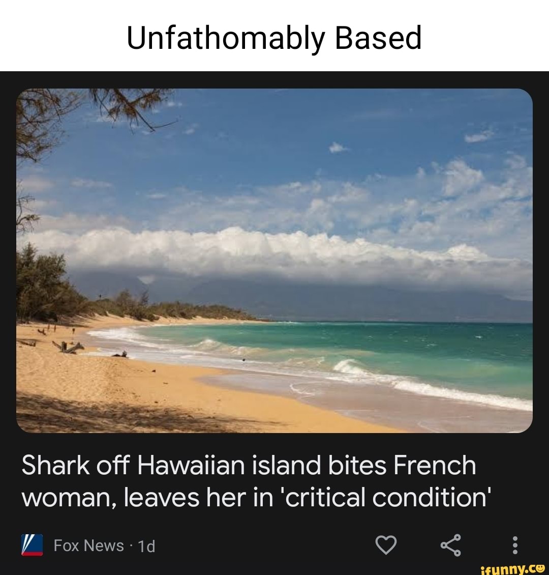 Unfathomably Based Shark off Hawaiian island bites French woman, leaves ...