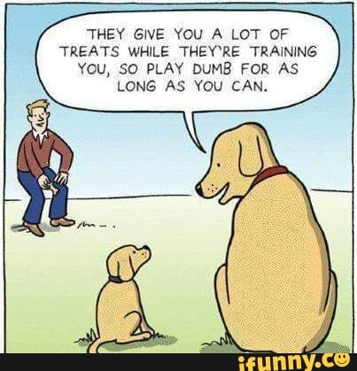 Training memes. Best Collection of funny Training pictures on iFunny