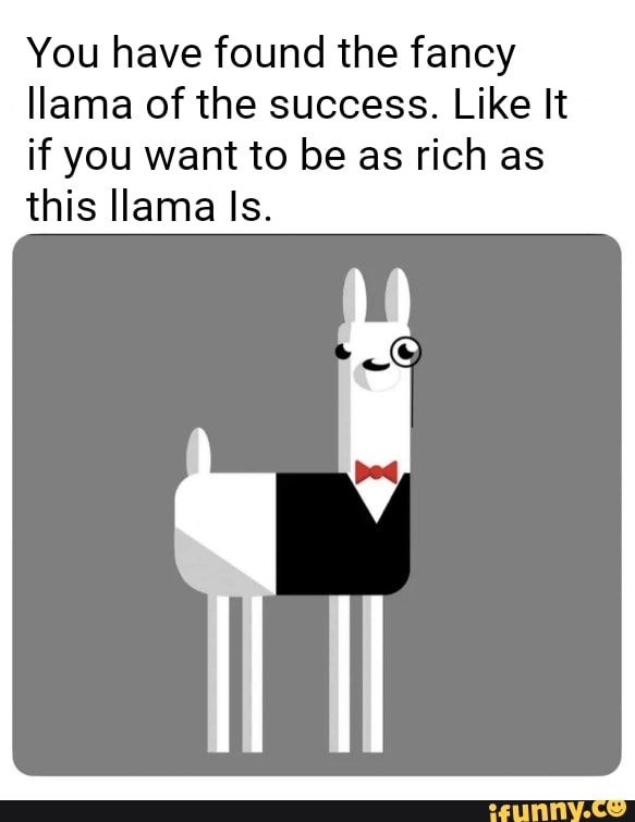 Fancy Llamas