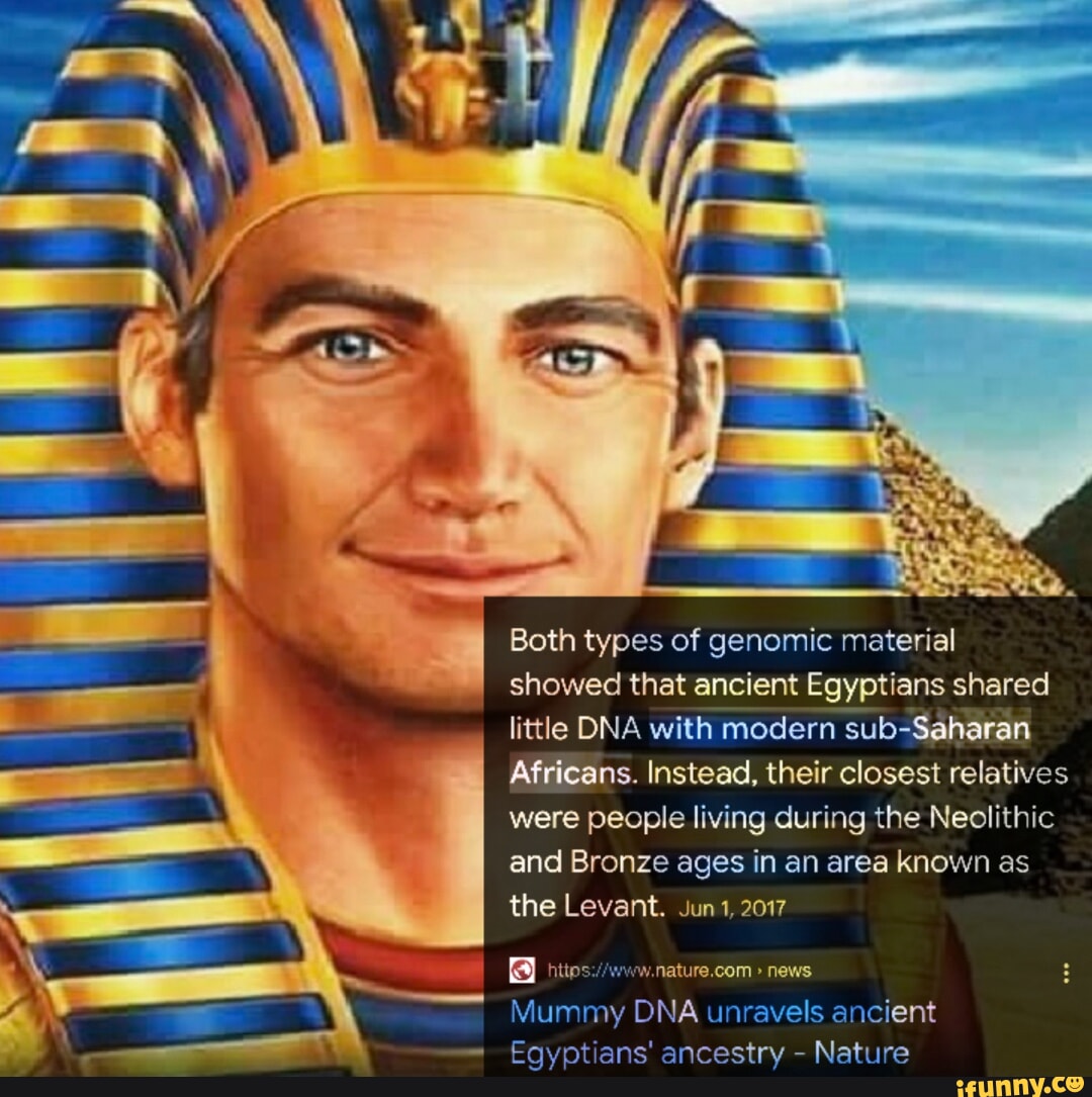 Neolithic memes. Best Collection of funny Neolithic pictures on iFunny