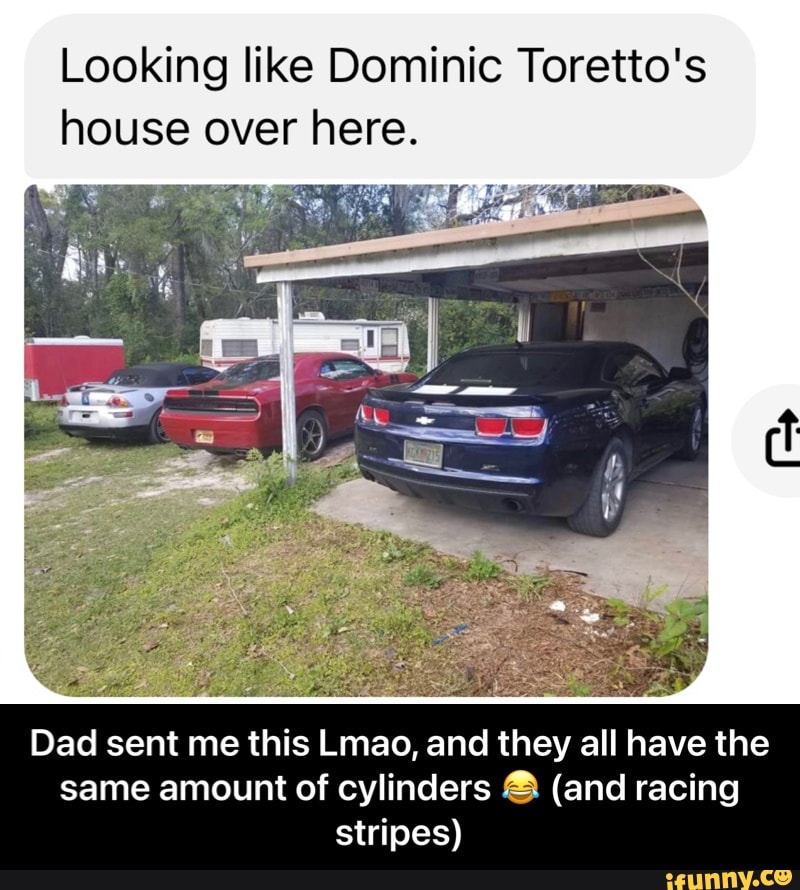 Torettos memes. Best Collection of funny Torettos pictures on iFunny