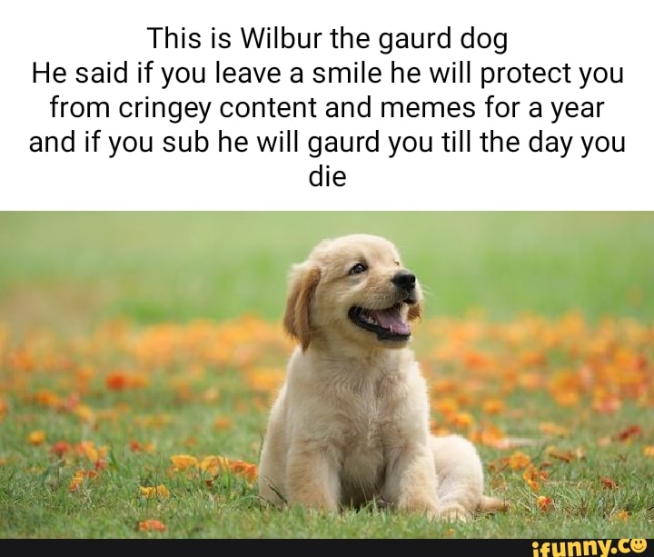 This is Wilbur the gaurd dog He said if you leave a smile he will ...