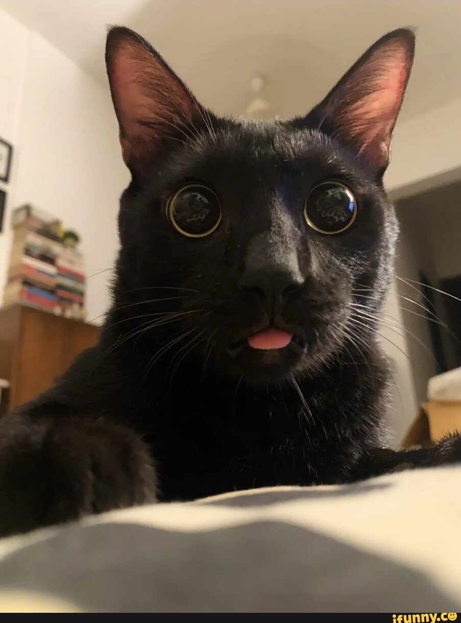 Zero memes. Best Collection of funny Zero pictures on iFunny