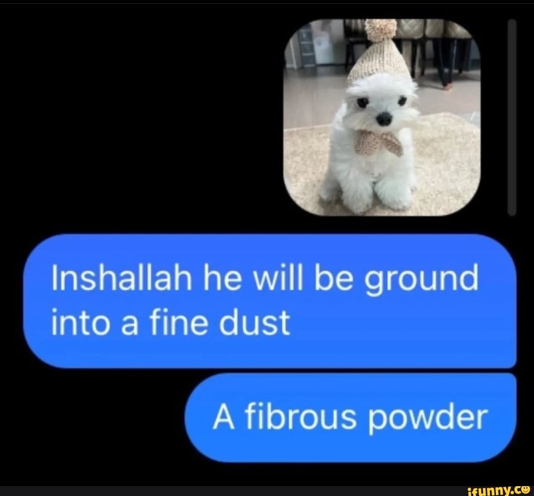 Inshallah he will be ground into a fine dust A fibrous powder - iFunny