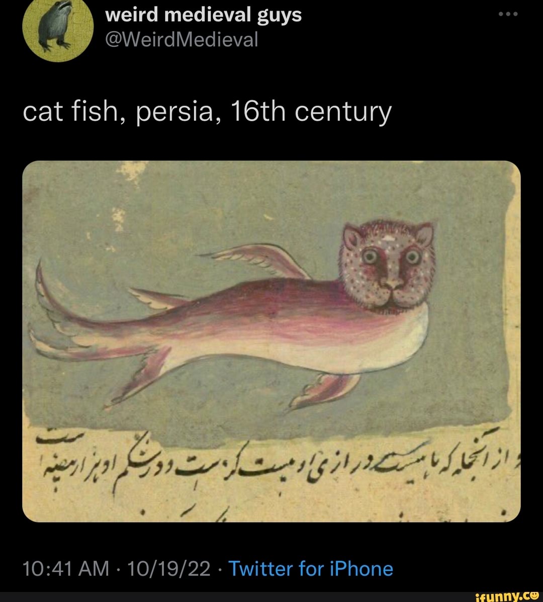 \ weird medieval suys @WeirdMedieval cat fish, persia, 16th century AM ...