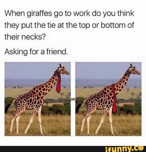 Giraff memes. Best Collection of funny Giraff pictures on iFunny