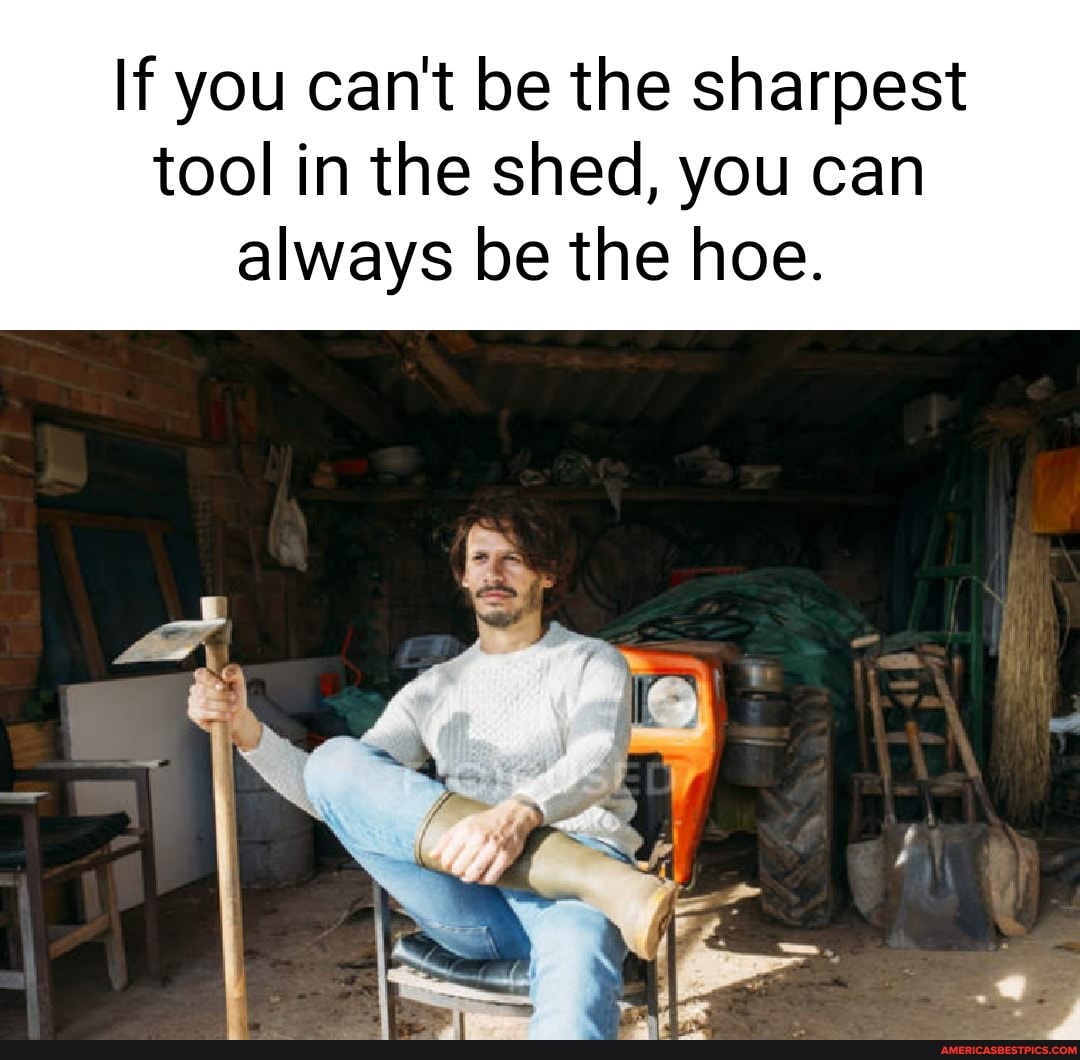 If you can't be the sharpest tool in the shed, you can always be the ...