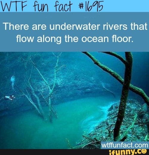 Oceanography memes. Best Collection of funny Oceanography pictures on ...