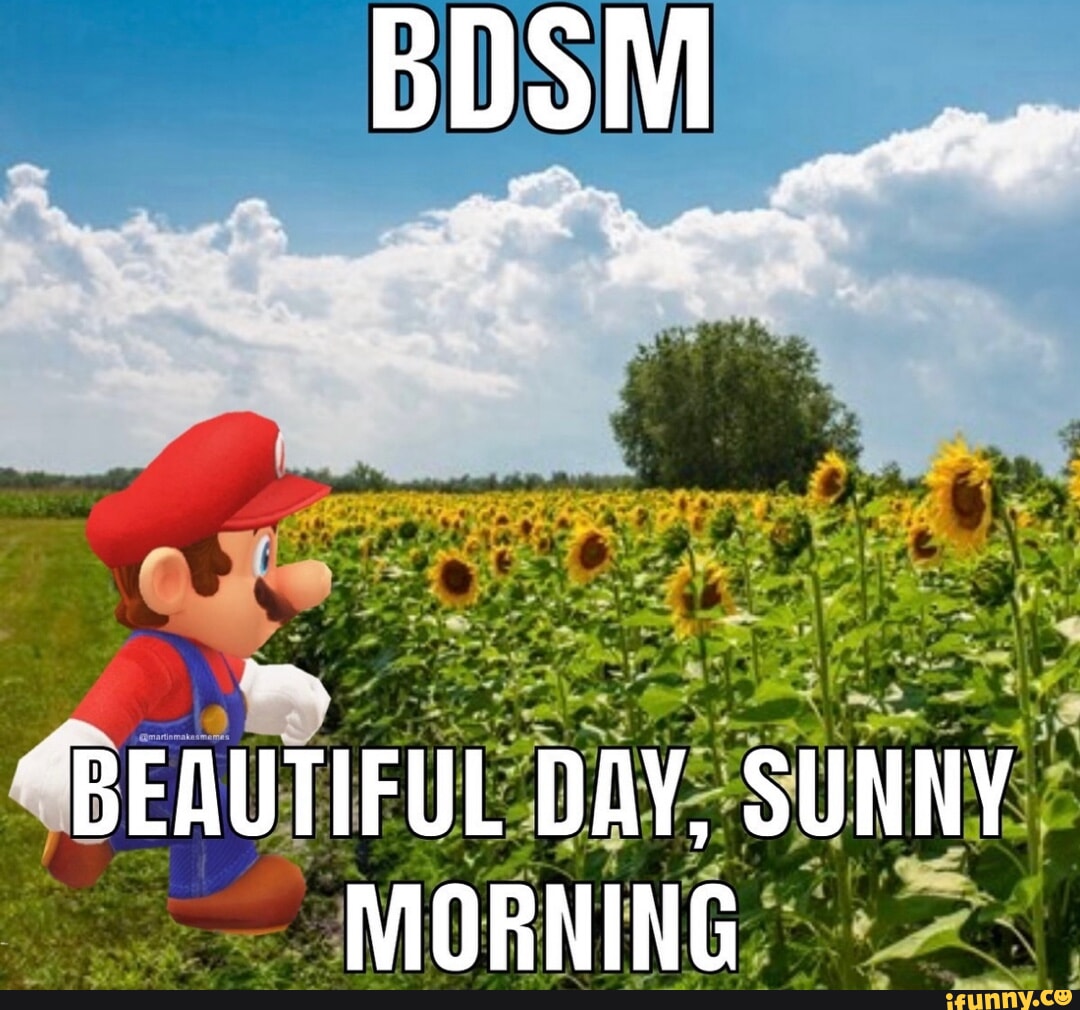 Sunny memes. Best Collection of funny Sunny pictures on iFunny