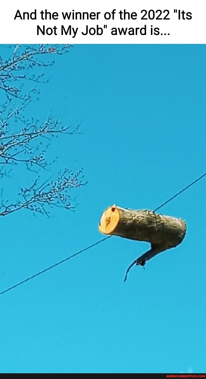 And the winner of the 2022 "Its Not My Job" award is... - America’s ...