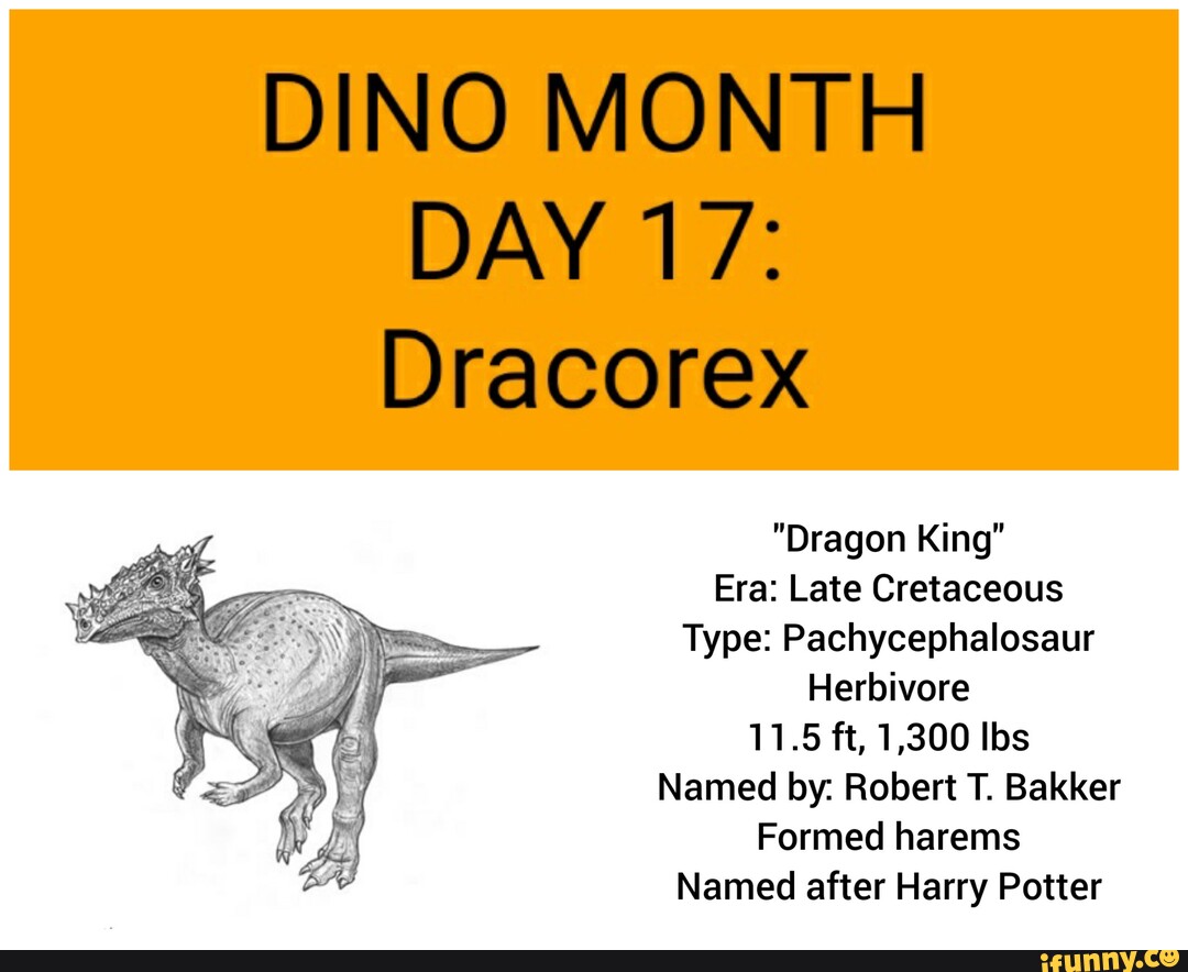 Harry Potter Dragon Types