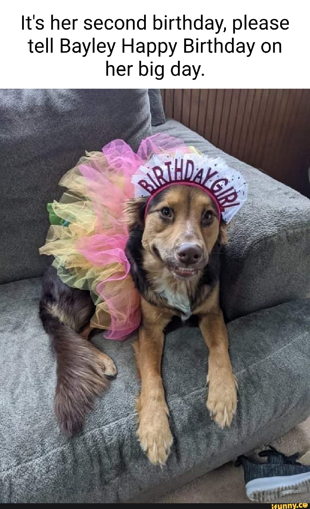 Bayley memes memes. The best memes on iFunny