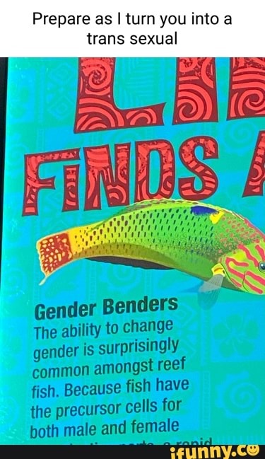 Prepare as I turn you into a trans sexual Gender Benders The ability to ...