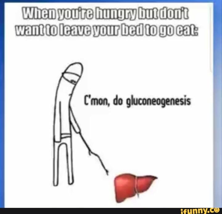 Gluconeogenesis memes. Best Collection of funny Gluconeogenesis ...