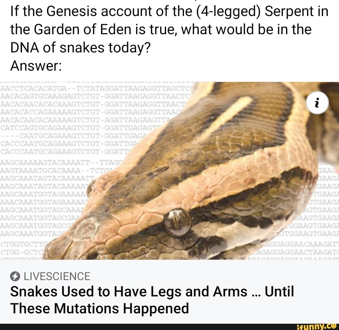 If the Genesis account of the (legged) Serpent in the Garden of Eden is ...