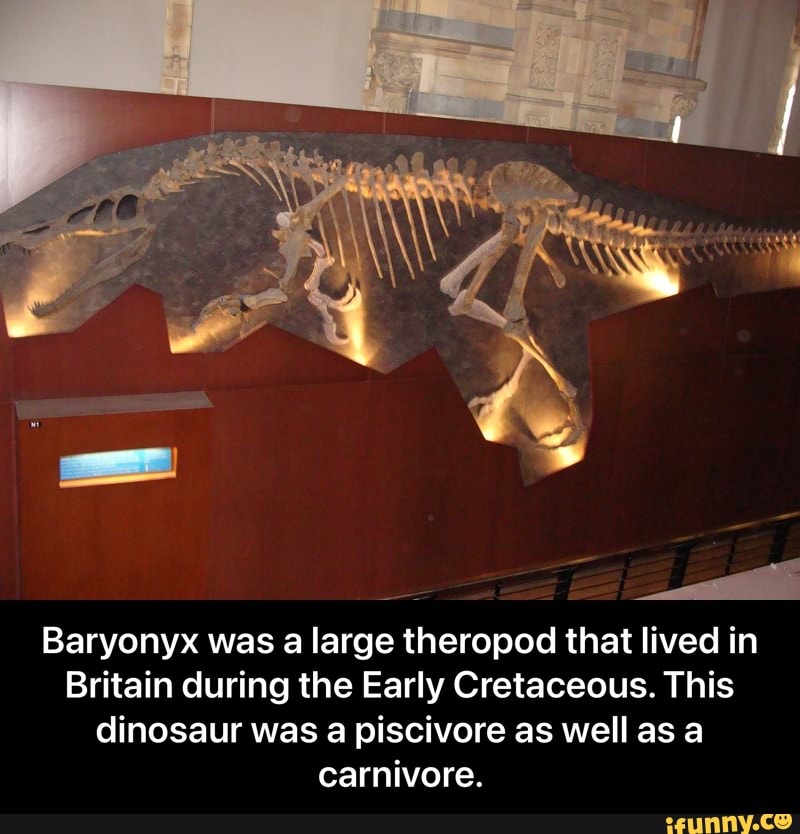 Baryonyx was a large theropod that lived in Britain during the Early ...