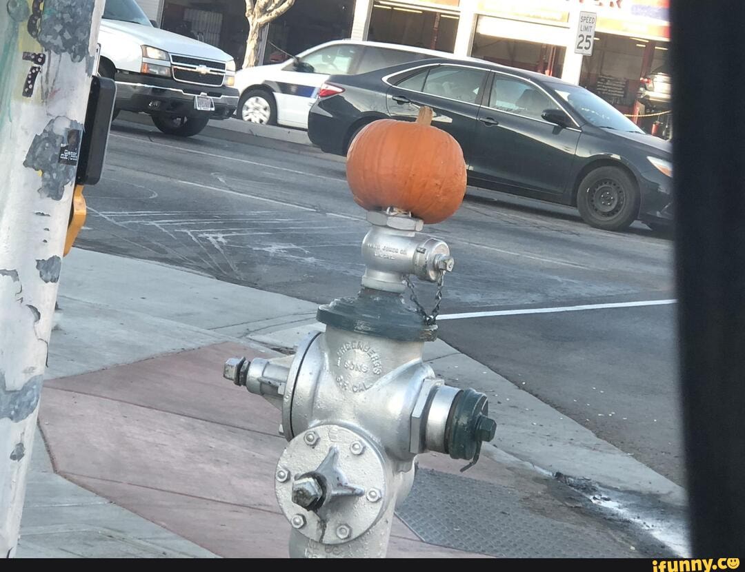 Fire_hydrant memes. Best Collection of funny Fire_hydrant pictures on ...