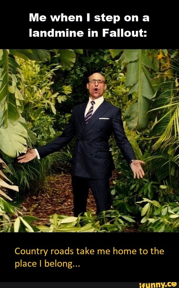 When I step on a landmine. - Me when step ona landmine in Fallout ...