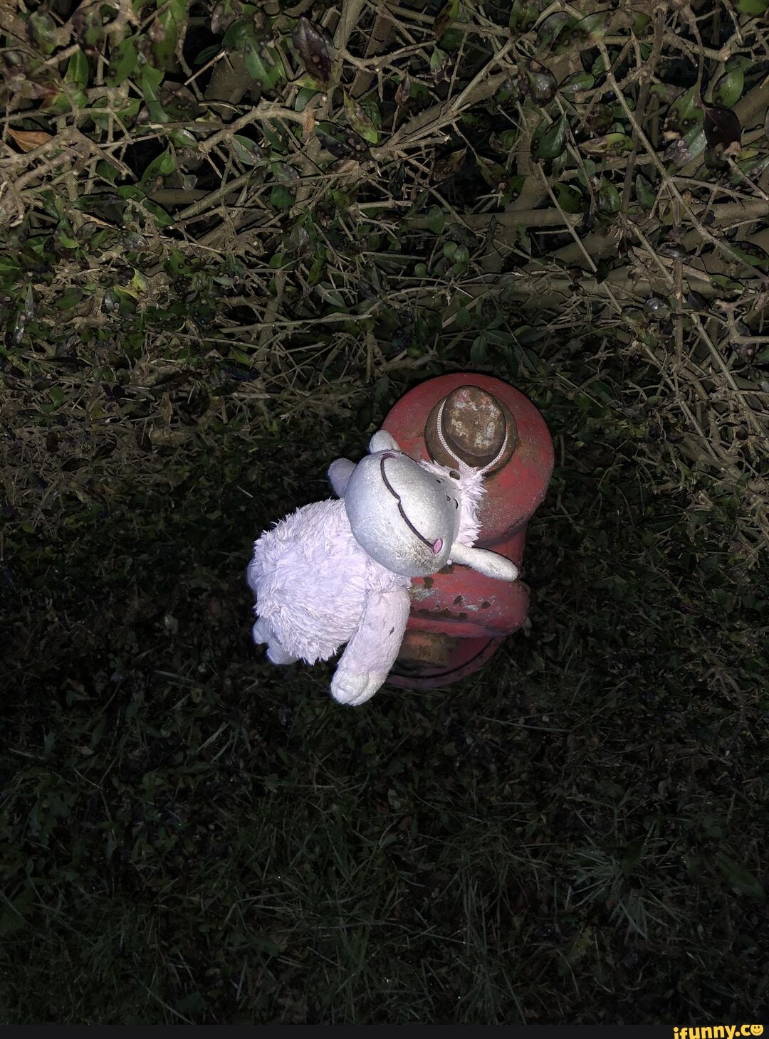 Cursed_sheep memes. Best Collection of funny Cursed_sheep pictures on ...