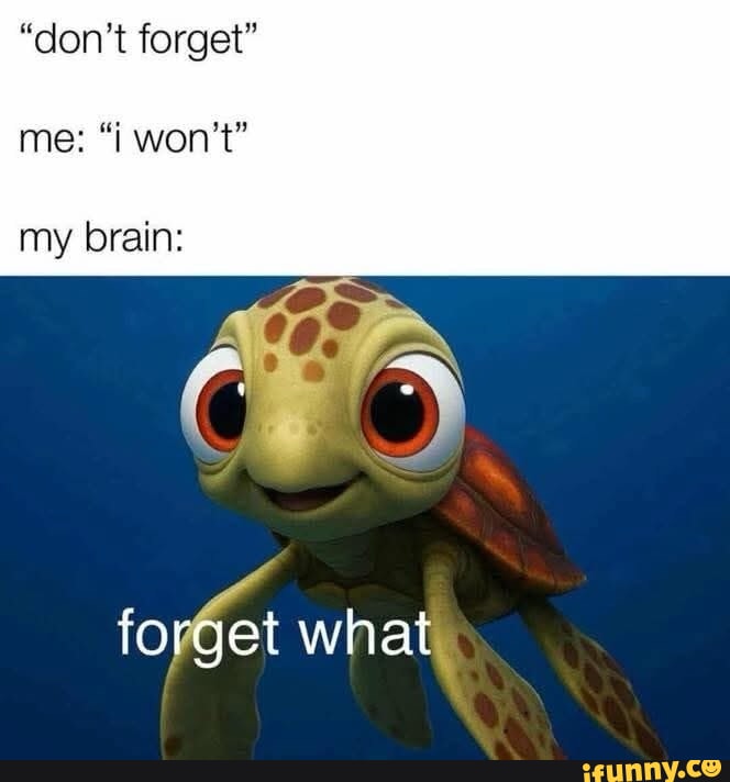 Forgetful memes. Best Collection of funny Forgetful pictures on iFunny